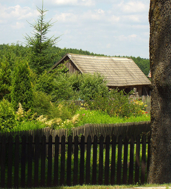 Indian Summer in Masuren und im Bialowieza-Nationalpark - Wohnmobil ...